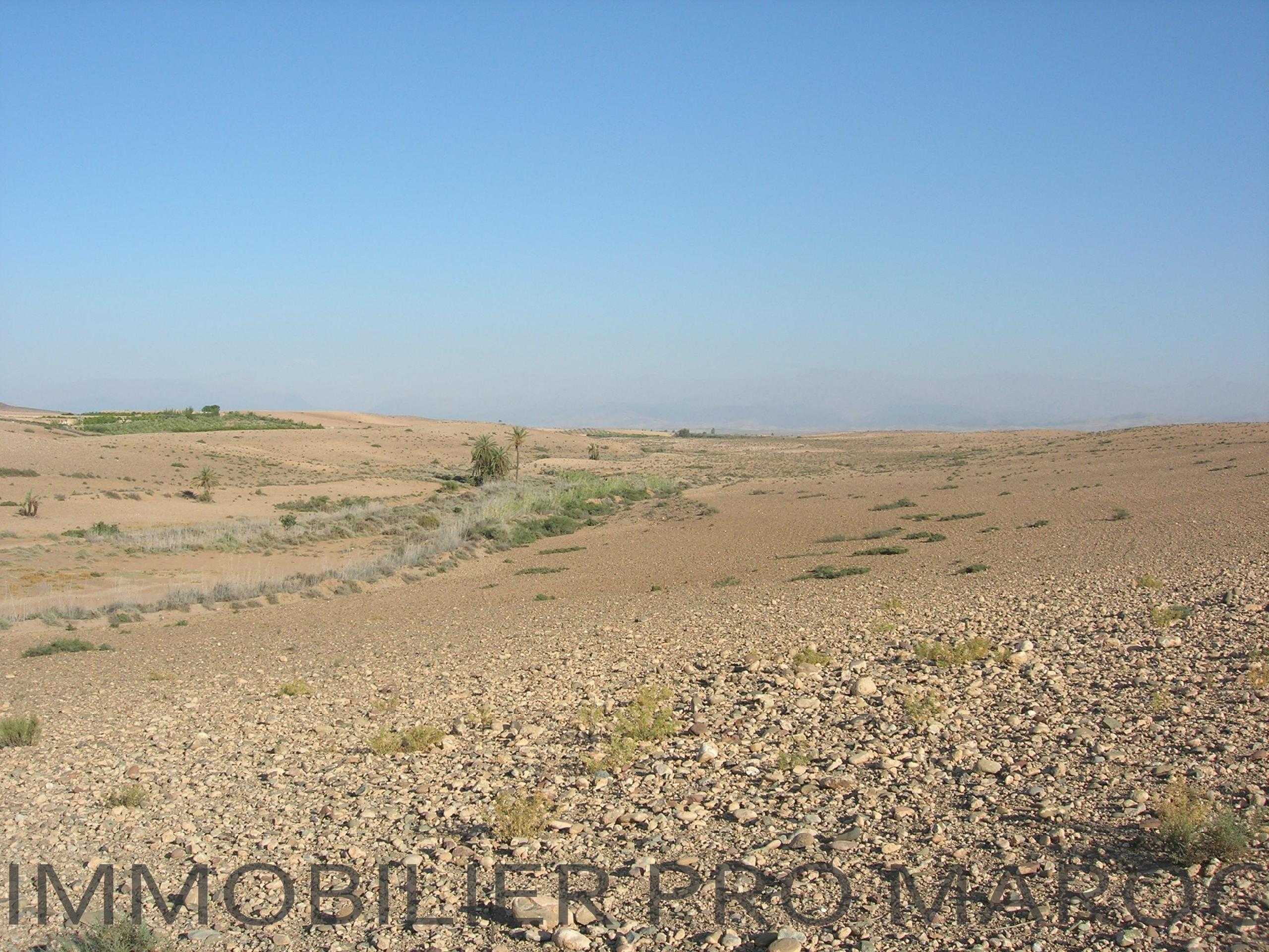 Terrain en vente à Marrakech ref 6127