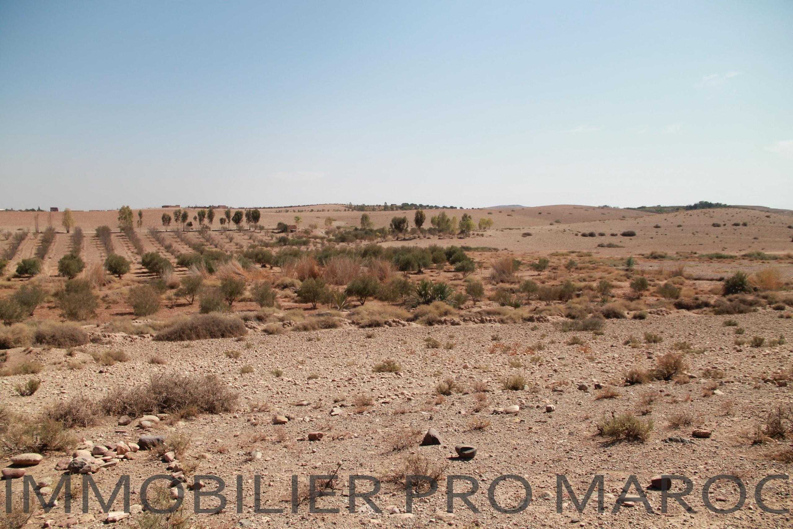 Terrain en vente à Marrakech ref 6127